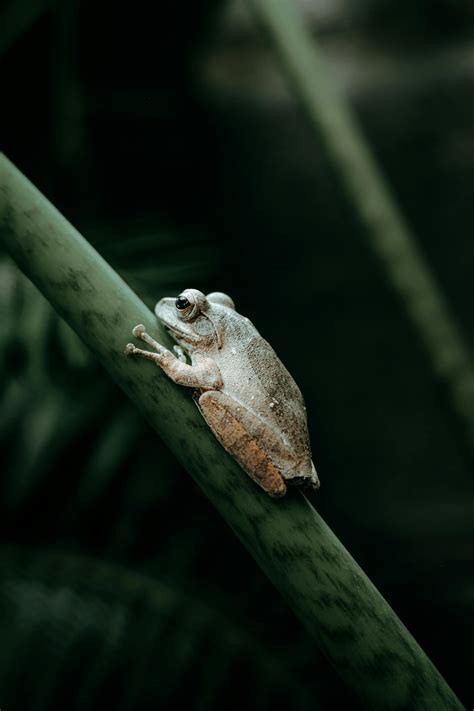 400 000 张最精彩的“cursor图标png”图片 · 100 免费下载 · Pexels素材图片