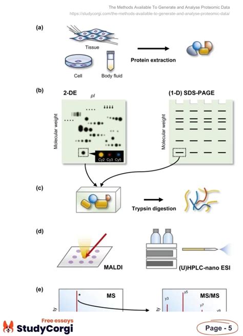 The Methods Available To Generate And Analyse Proteomic Data Free