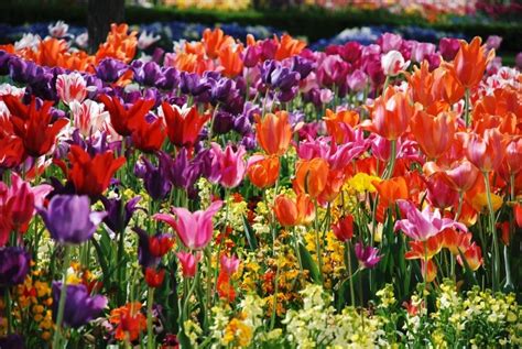 ★지리적표시제 ★지리적표시권 네이버 블로그