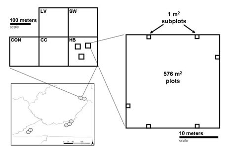 2 typical site and sampling layout of permanently marked experimental