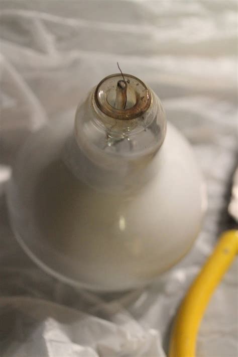 Aligorith S Lair Exploding Light Bulbs