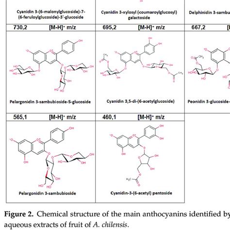 Anthocyanins Identified By Lc Msms Analysis For Aqueous Extracts Of In