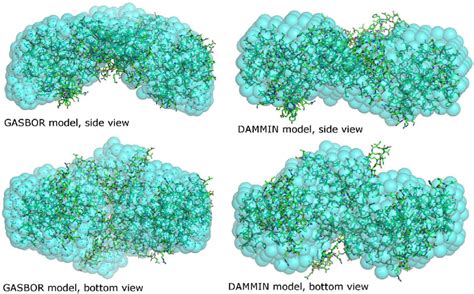 Results Of Ab Initio Modeling Of At Dhdpr From Saxs Data Models Were