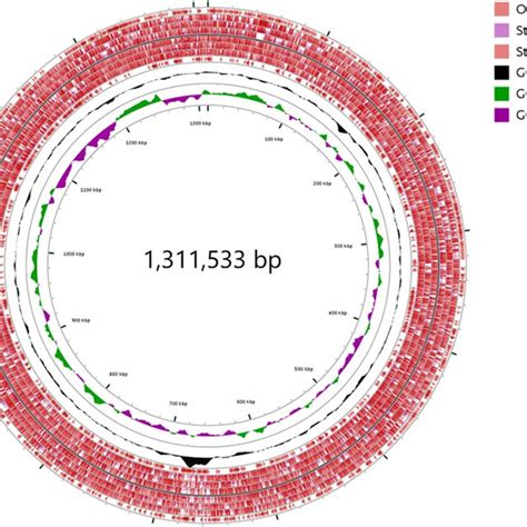 Genome Characteristics Of Dichelobacter Nodosus Jks 07 Serogroup B Download Scientific Diagram
