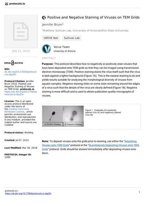Pdf Positive And Negative Staining Of Viruses On Tem Grids V1