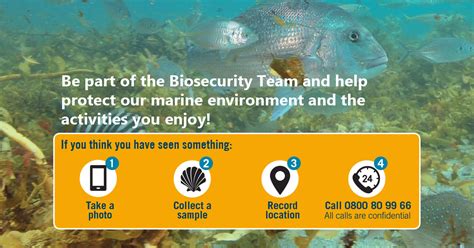 Biosecurity New Zealand MPI Directory Boatiesnz