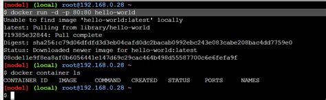Docker Container Is Not Created While Running Docker Images In Docker