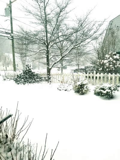 Paradise Island Tumbex