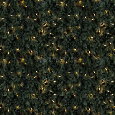 Festive Pine Tree Close Up With Warm Twinkle Lights And Fresh Pine Branches Stock Illustration