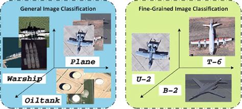 Comparison Of Categories Between Traditional Classification And Download Scientific Diagram