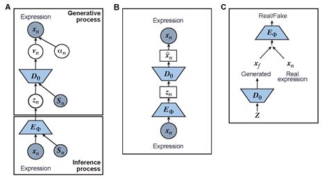 Overview Of Common Deep Learning Models For ScRNA Seq Analysis Deep Learning Tackles Single