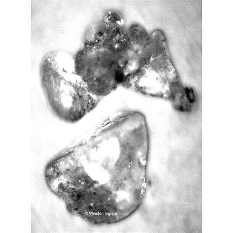 Elements Of Periodic Table Under Microscope Microbus Microscope Educational Website