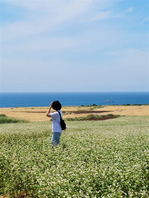 2025년 국내 전시 일정 총정리 놓쳐서는 안 될 주요 미술 전시 Best