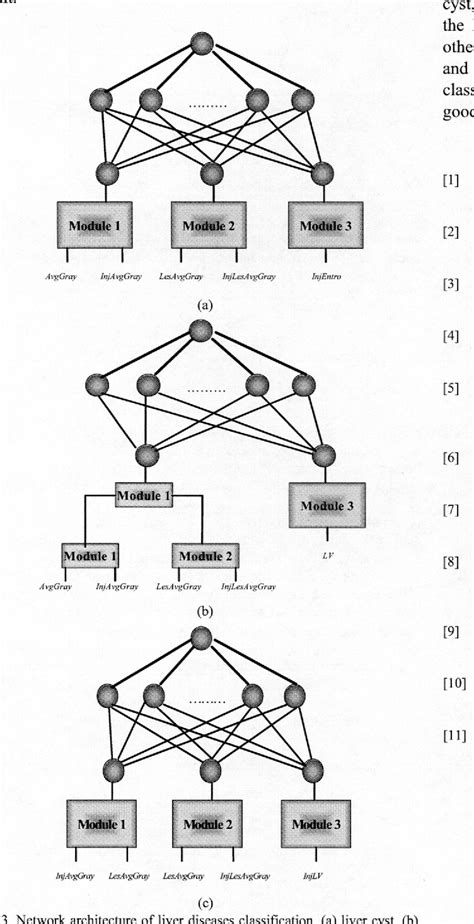 Figure 3 From Classification Of Liver Diseases From Ct Images Using Bp Cmac Neural Network
