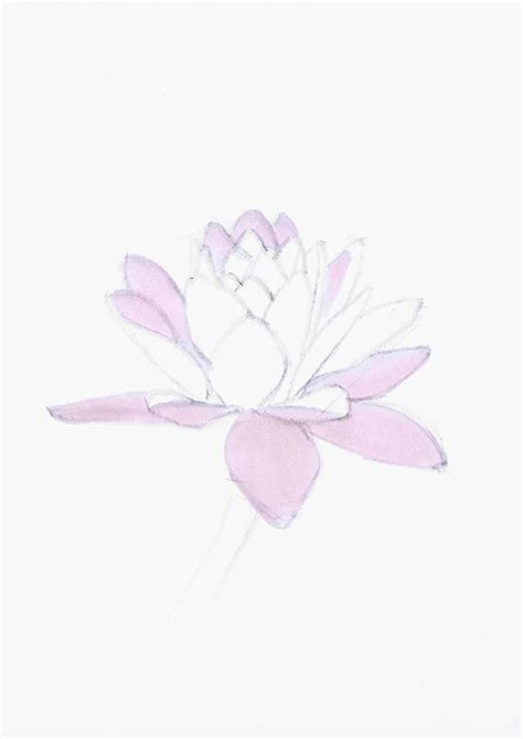 How To Draw A Lotus Flower Easy And Precise Step By Step Tutorial