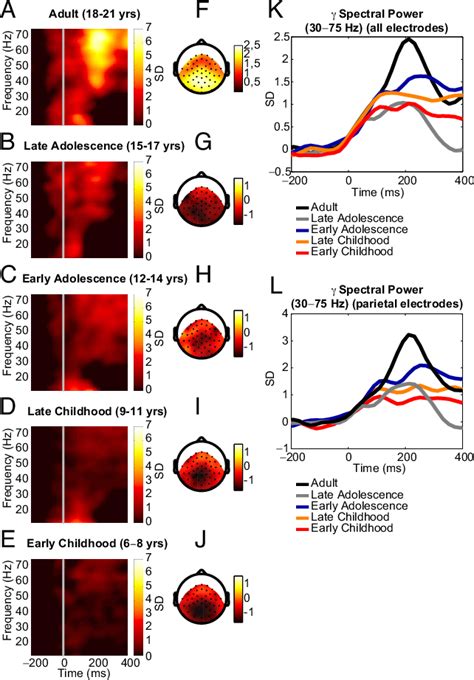 Figure 2 From The Development Of Neural Synchrony Reflects Late Maturation And Restructuring Of