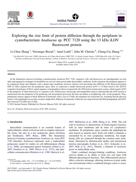 Exploring Size Limits Of Protein Diffusion Pdf Green Fluorescent Protein Proteins