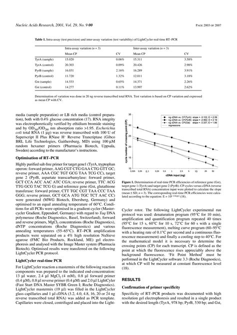 solution a new mathematical model for relative quantification in real