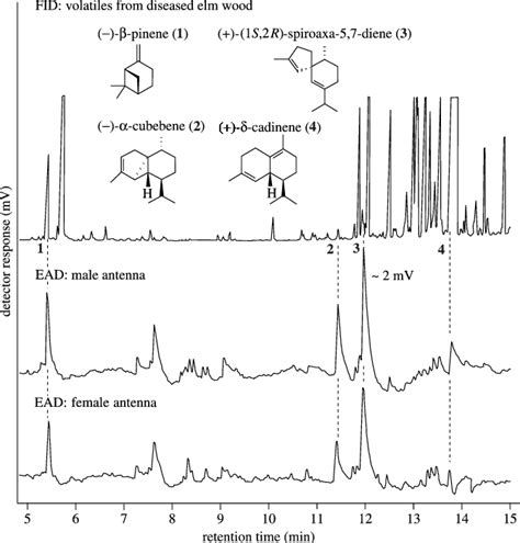Gas Chromatograms Of Volatiles Desorbed From Porapak Q Emanating From