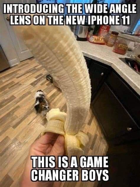 I Just Peed Myself Laughing R Meme