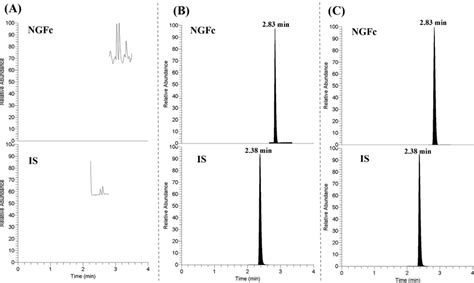 Selective Reaction Monitoring Srm Chromatograms Of Ngfc And Is In Rat