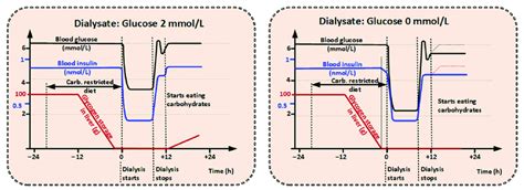The Dialysis Simulation Is Utilizing A Standard Dialysis Setting Of 300