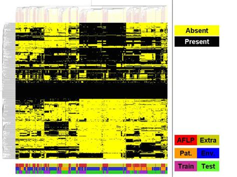 genomic diversity based on hierarchical clustering analysis