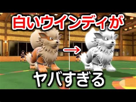 【ポケモンsv】ウインディの種族値・わざ・特性など基本情報まとめ【スカーレット・バイオレット】 攻略大百科
