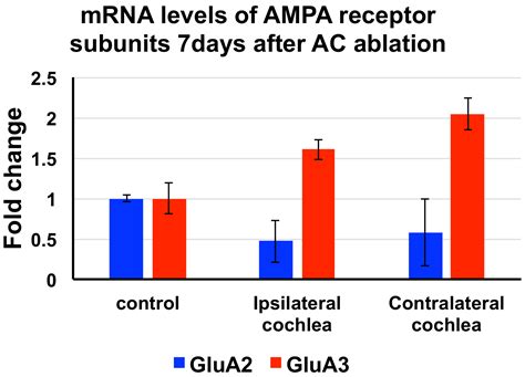 Stereotactically Guided Ablation Of The Rat Auditory Cortex And Localization Of The Lesion In