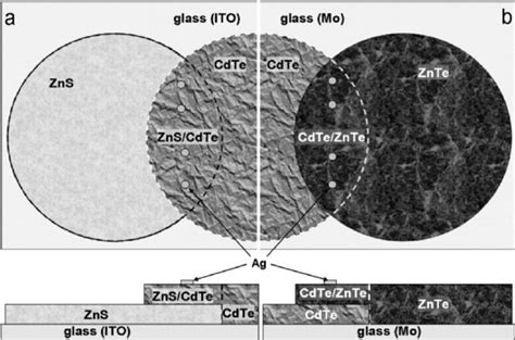 Scheme Of The Multilayer Structure Of The Investigated Download Scientific Diagram