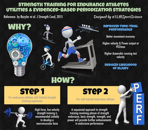 Strength Training For Endurance Athletes Utilities And Periodization Strategies Ylmsportscience
