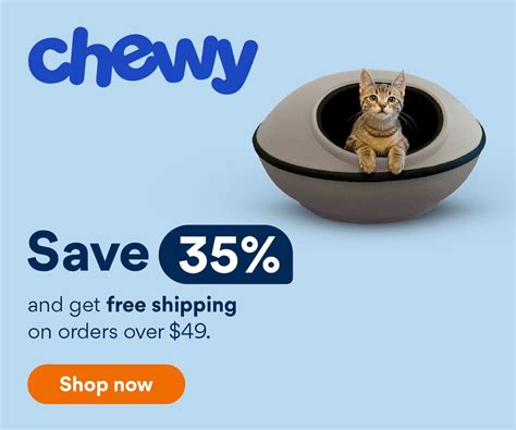 How To Shave A Cats Bum Vet Approved Steps Hepper Pet Resources