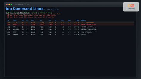 Htop Command Linux Complete Guide To Advanced Process Monitoring And Management Codelucky