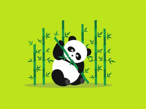 Panda Panda Panda By Sadhvi Konchada On Dribbble
