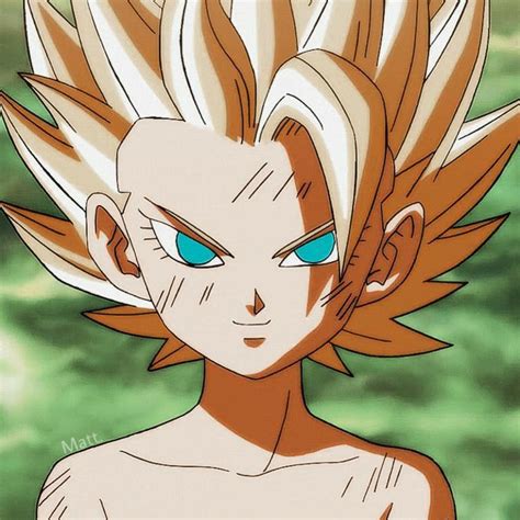 Pin De Max Diot Em Caulifla Dragon Ball Personagens De Anime Dragon