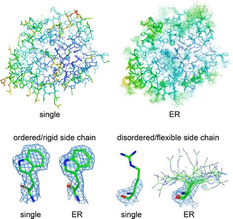 Visualizing Molecular Flexibility Using Structural Ensembles Ensemble