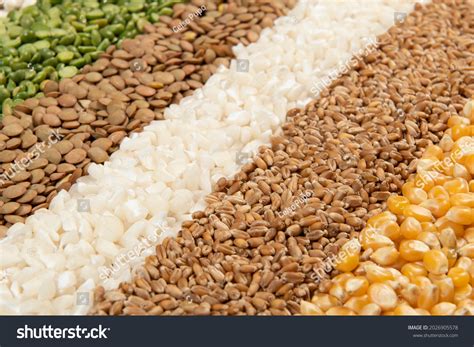 Collection Different Cereal Varieties Edible Dry Stock Photo 2026905578 Shutterstock