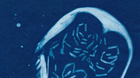 Nüüd Berlin Gallery Daniela Finke A Present From The Past« • Pib Photography In Berlin