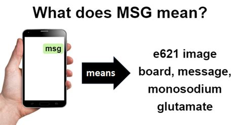 Msg What Does Msg Mean