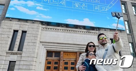 꽃피는 봄 보고싶은 그대에게