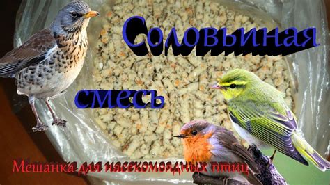 СОЛОВЬИНАЯ СМЕСЬ🐦 / МЕШАНКА ДЛЯ НАСЕКОМОЯДНЫХ ПТИЦ + советы в конце👌 ...