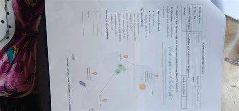 LEARWING ACTIVITY SHEET Aetivity StudyX