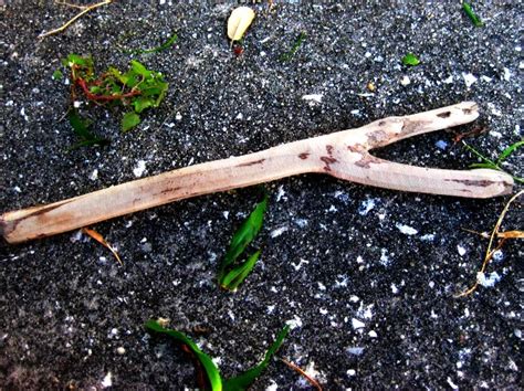 Paranorman And Coraline Check Out My Coraline Collection