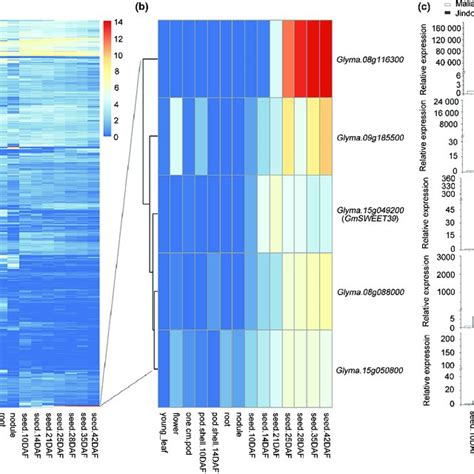 Expression Analyses Of Candidate Genes In The Genomic Regions Download Scientific Diagram