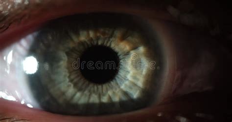Macro Beauty Opening Gray Eye Looks Frightened Blinking Healthy Vision