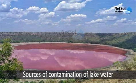 What Are The Sources Of Contamination Of Lake Water Netsol Water