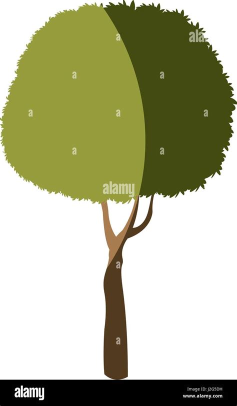 Tree Plant Foliage Stem Trunk Stock Vector Image And Art Alamy