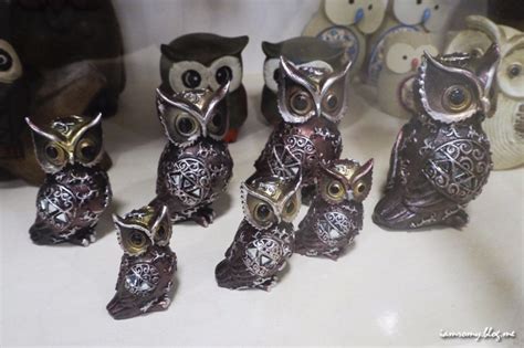 속초 박물관여행 부엉이박물관 해피아울하우스 부엉부엉 네이버 블로그