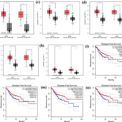 Gene Expression Status And Disease Free Survival Analysis Of Seven Hub