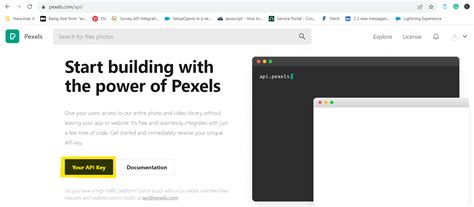 Integrate Pexel Api For Seamless Image Retrieval